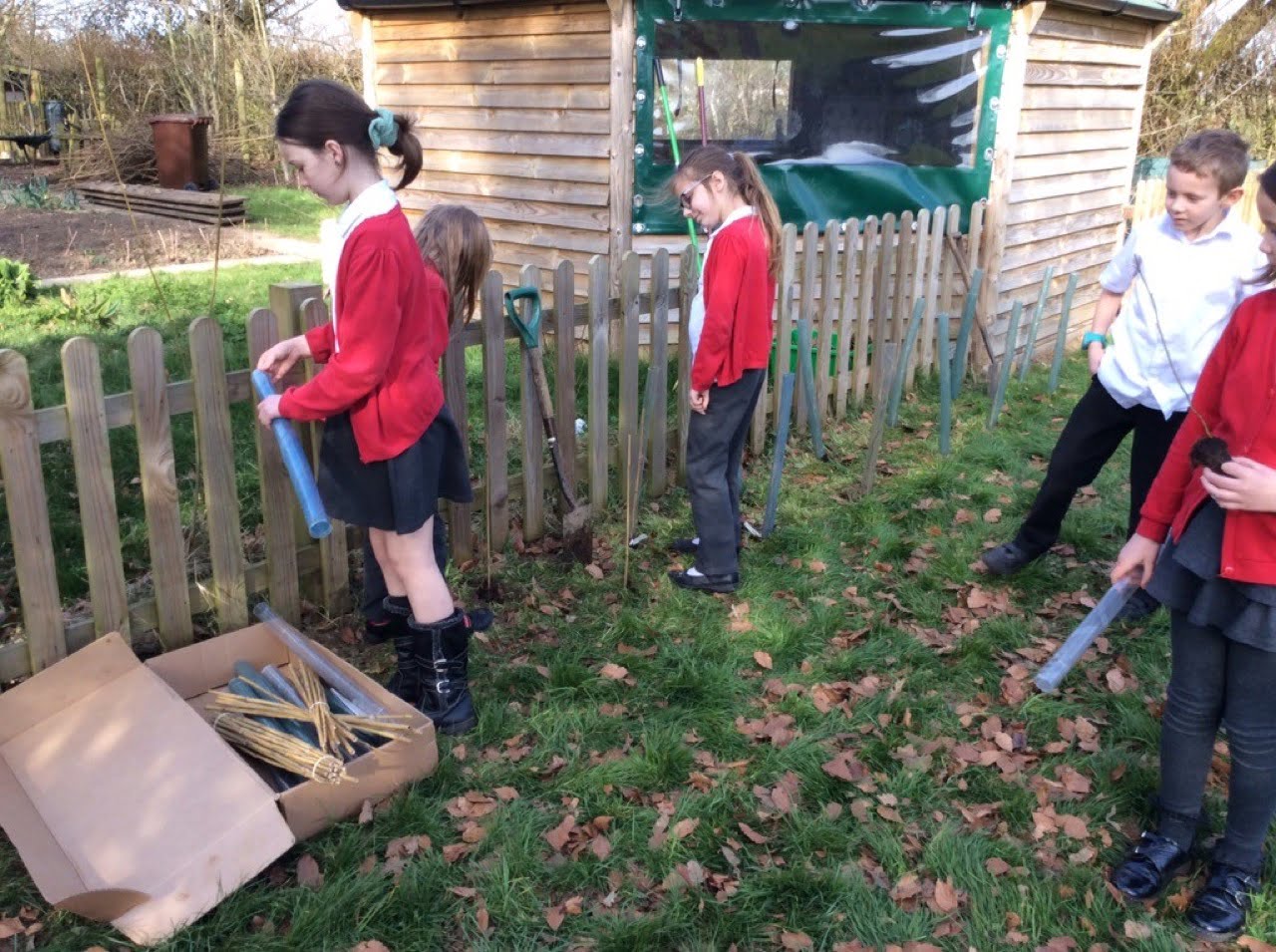 Woodland Trust Trees – Tunstead Primary School