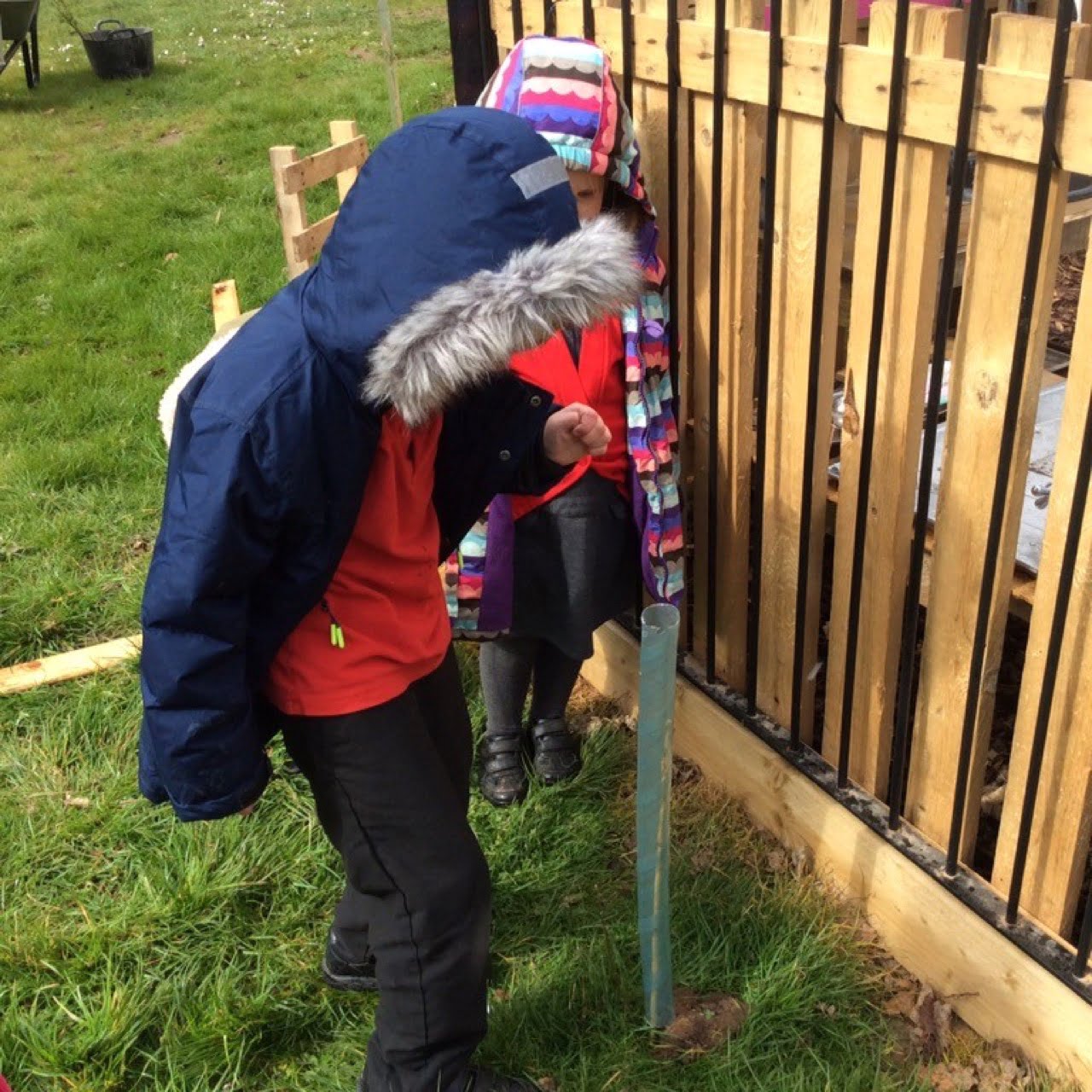 Woodland Trust Trees – Tunstead Primary School